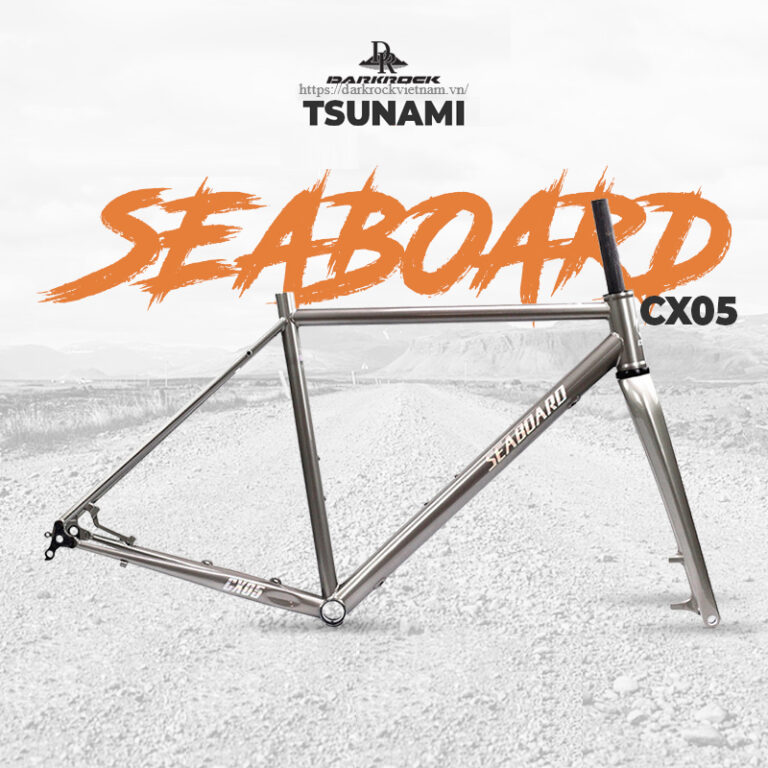 Seaboard CX05 gravel bike - Xe đạp