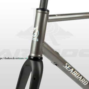 Seaboard CX05 gravel bike - Xe đạp