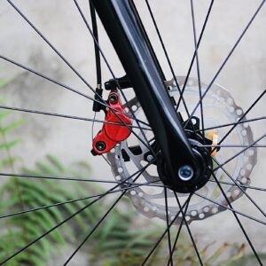 Seaboard CX05 gravel bike touring - Xe đạp