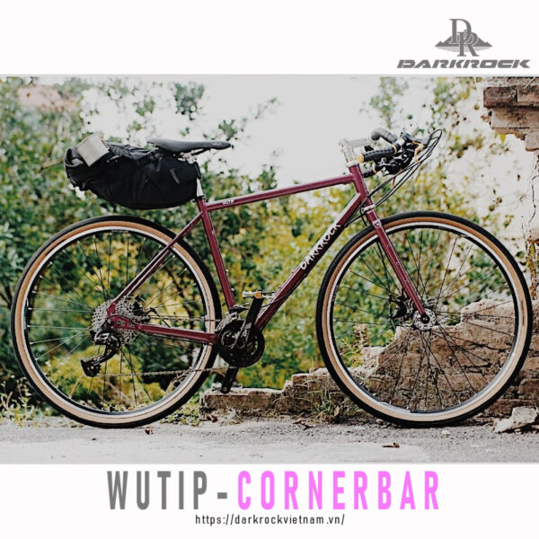 Seaboard CX05 gravel bike - Xe đạp