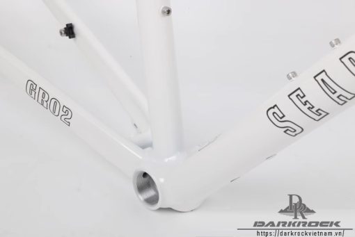 Seaboard GR02 gravel bike - Xe đạp