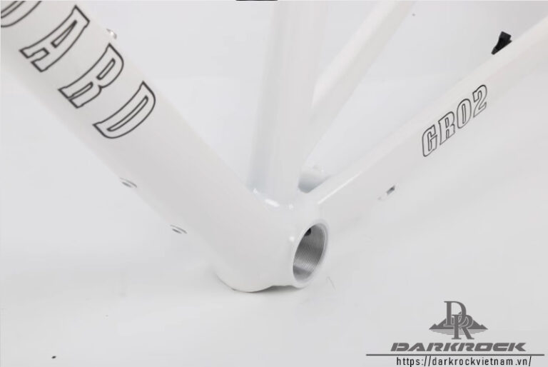 Seaboard GR02 gravel bike - Xe đạp