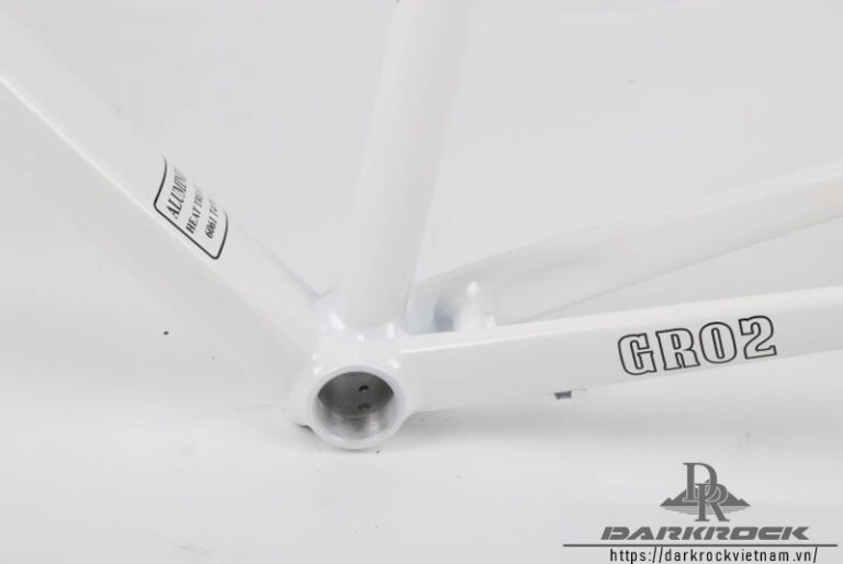 Seaboard GR02 gravel bike - Xe đạp