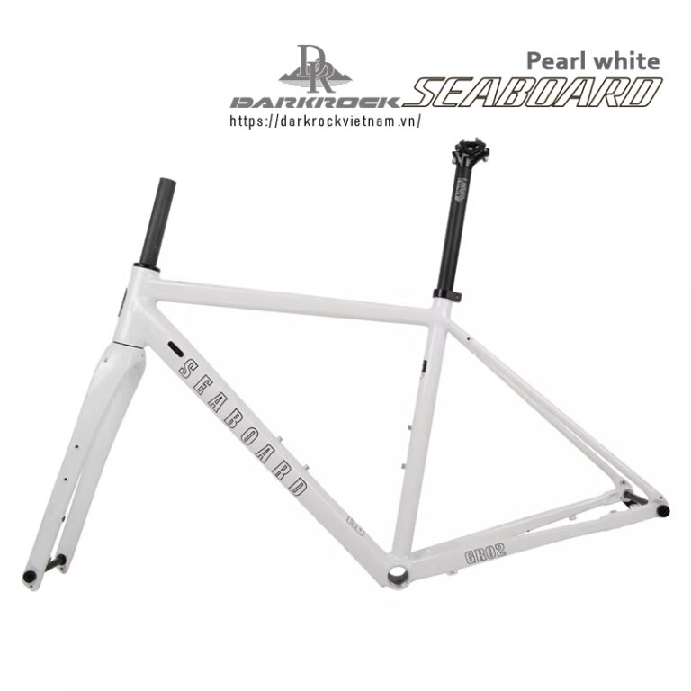 Seaboard GR02 gravel bike - Xe đạp