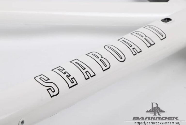 Seaboard GR02 gravel bike - Xe đạp