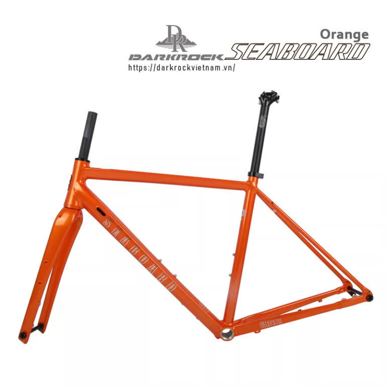 Seaboard GR02 gravel bike - Xe đạp