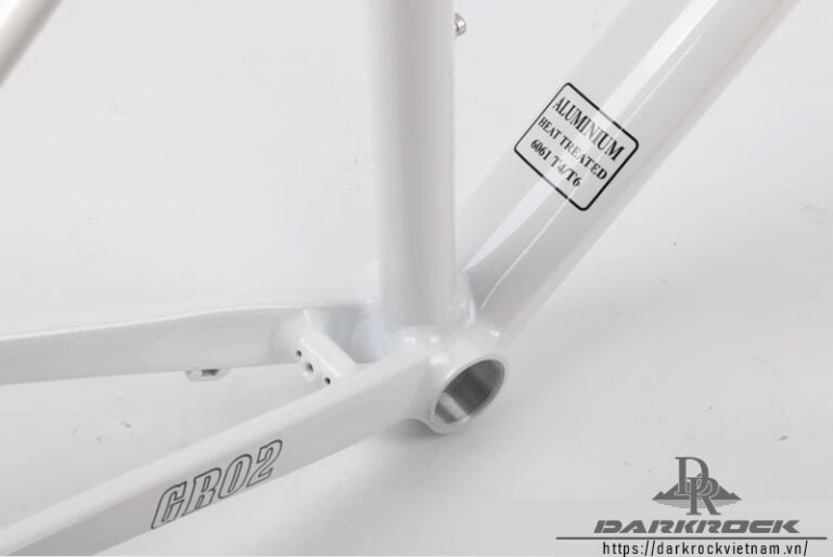 Seaboard GR02 gravel bike - Xe đạp