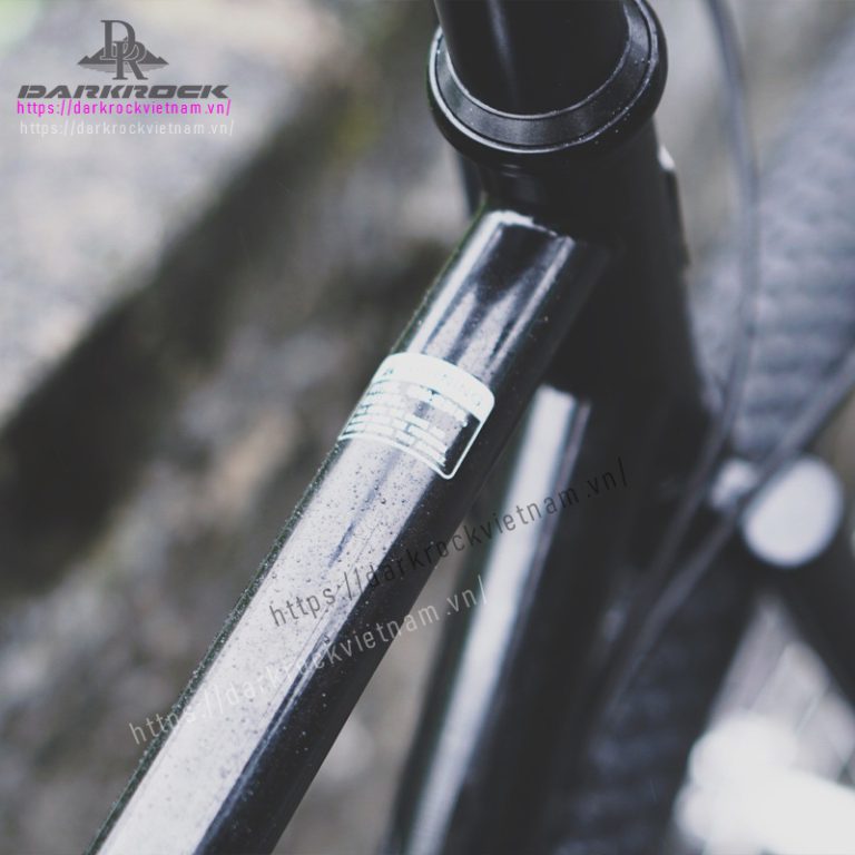 Seaboard CX01 gravel bike 01 - Xe đạp