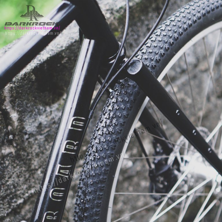 Seaboard CX01 gravel bike 01 - Xe đạp