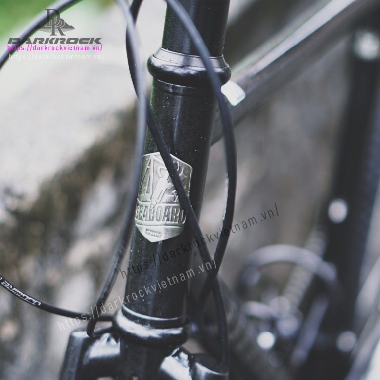 Seaboard CX01 gravel bike 01 - Xe đạp