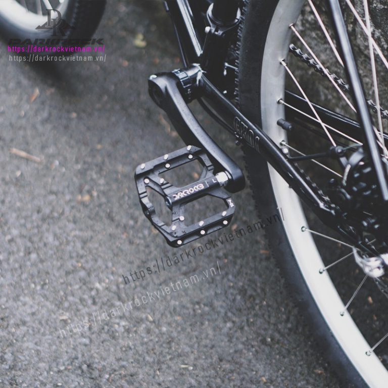 Seaboard CX01 gravel bike 01 - Xe đạp